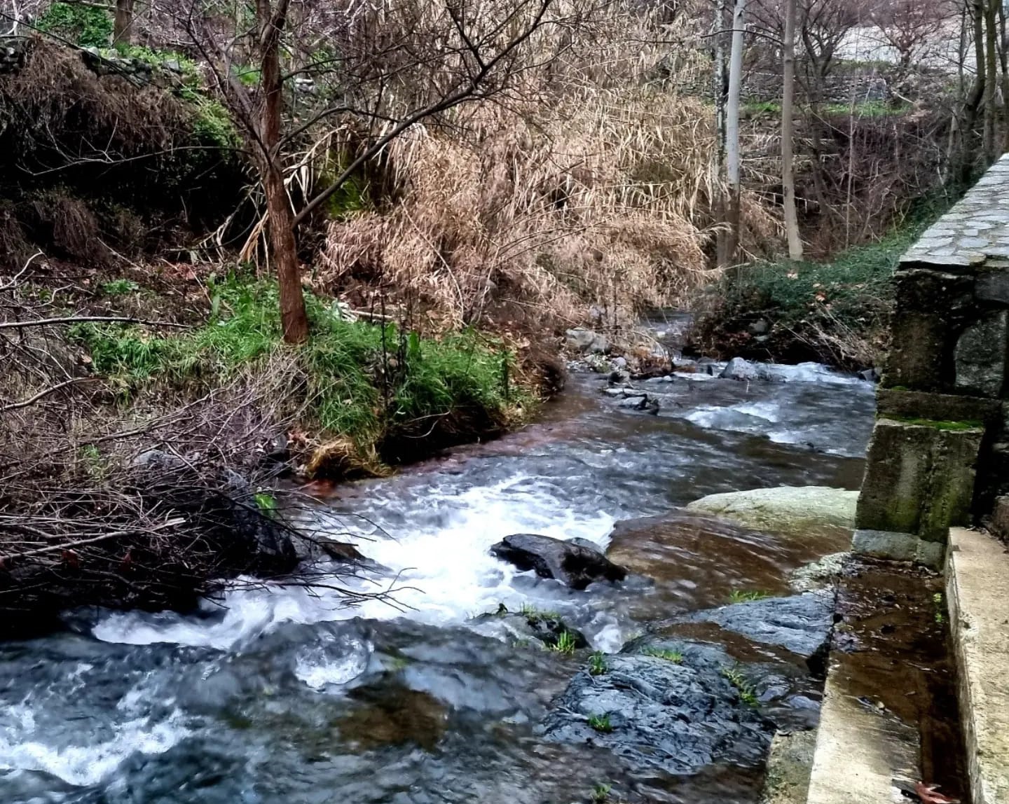 Ποταμός - Ποταμίτισσα - Pitsilia Daily